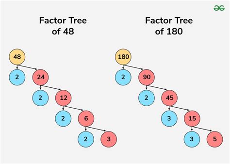Factor Tree Geeksforgeeks