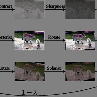 Example Of Series And Parallel Connection Download Scientific Diagram