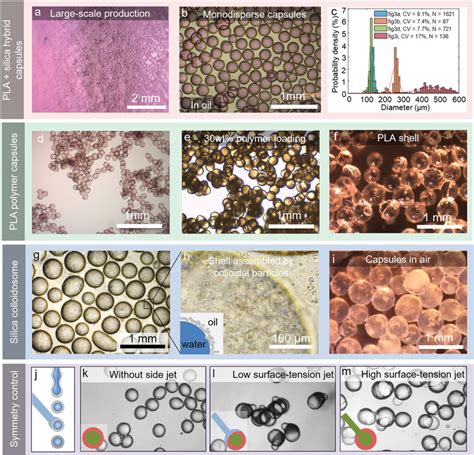 Library Of Core Shell Capsules Fabricated Via Jetall A Microscopy Download Scientific Diagram