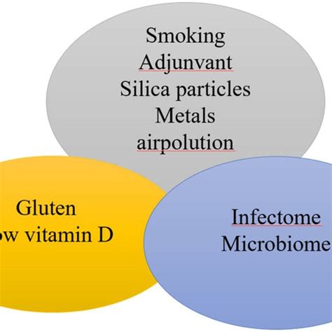 The International Iga Nephropathy Prediction Tool Integrating Download Scientific Diagram