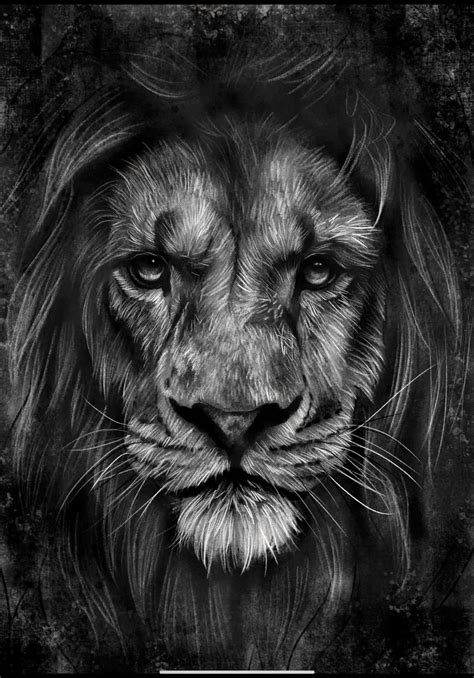 Download A Black And White Drawing Of A Lion Wallpapers Com