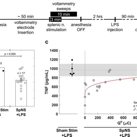 Ne Voltammetry Signal During Splenic Nerve Stimulation Spns Is