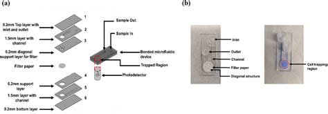 A Different Layers Of The Microfluidic Device Integrated With Filter Download Scientific