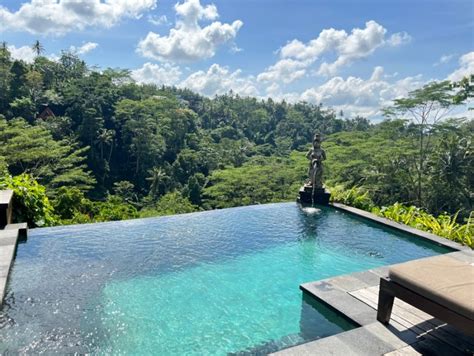 발리 신혼여행 더 카욘 정글 리조트 우붓 숙소 솔직후기 밸리 풀빌라 플로팅 조식 네이버 블로그