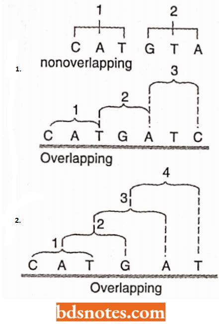Degeneracy Of Genetic Code Notes Bds Notes