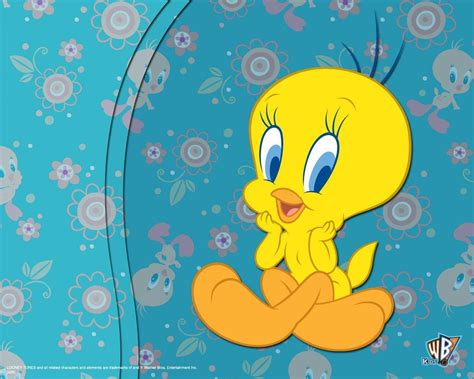 Cute Tweety Bird Wallpapers Top Free Cute Tweety Bird Backgrounds Wallpaperaccess