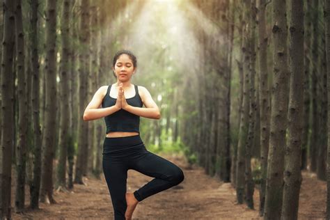 아름 다운 여자 연습 요가 포즈가 문 비 나무 숲 자연가을 서 뒷 전망 건강 한 라이프 스타일 여름 휴식 개념에 대한 스톡 사진 및 기타 이미지 Istock