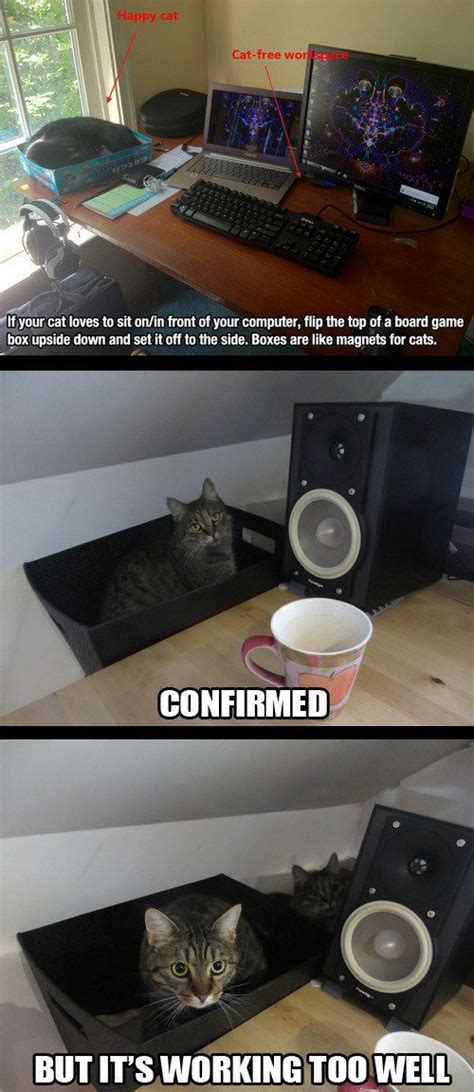 Hacks That Will Make Any Cat Owner S Life Easier Diy Cat Tent Cat Tent Owning A Cat