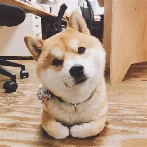 在vue3中使用顶级await 打包出现top level await is not available in the configured