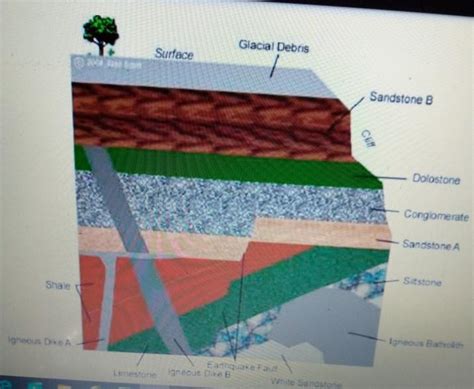Solved Examine The Geologic Cross Sections Which Follow And Chegg Com