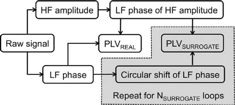 Figure 2 From Multivariate Phaseamplitude Cross Frequency Coupling In