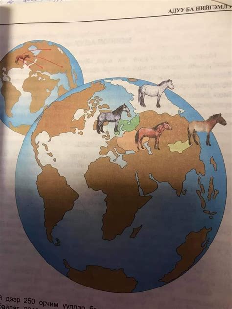 Битүү туурайтан амьтан манай гариг Мал аж ахуй ферм