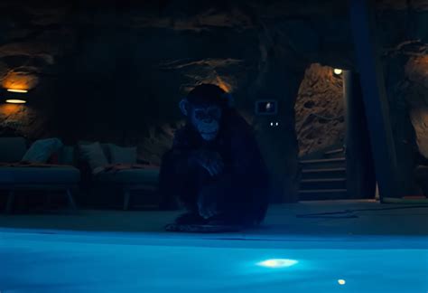 ‘primate Theories Meaning Explanation And Themes Dark Film Theories
