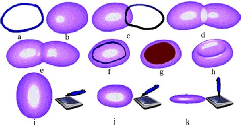 Figure 1 From Shape Modeling By Sketching Using Convolution Surfaces
