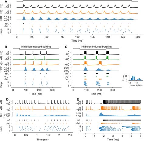Neuron Simulations Can Be Subject To Substantial Numerical Download Scientific Diagram