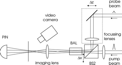 Detailed View Of The Spatially Resolved Measurement Download Scientific Diagram