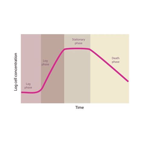 32 En La Categoría «bacterial Growth Curve De Imágenes Fotos De Stock E Ilustraciones Libres