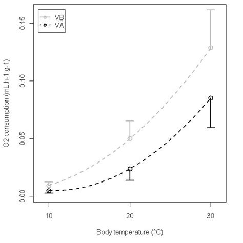 Metabolic Reaction Norms In V Berus Vb 9 Males 6 Females And V