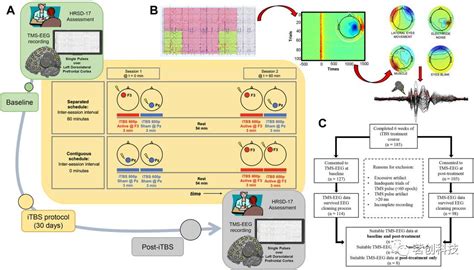 Biological Psychiatry：利用tms Eeg识别难治性抑郁症间歇性θ脉冲刺激的神经生理标志物一种基于tms Eeg的神经生物标记物的检测方法 A61b5 Csdn博客
