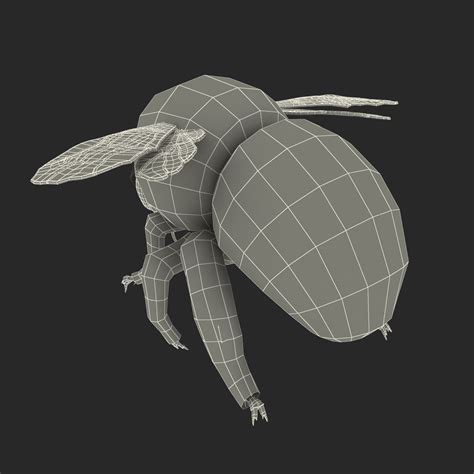 Bumblebee 3d Model 99 Max Free3d