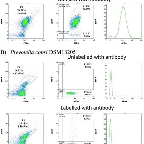 Dispersion Diagrams Of Representative Flow Cytometry Experiments Download Scientific Diagram