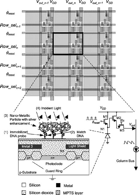 Figure From A CMOS Compatible DNA Microarray Using Optical Detection Together With A Highly