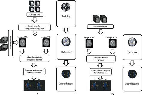 Flowchart Of The Lesion Detection Approaches A Supervised B