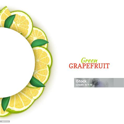 반원 흰색 프레임 맛 있는 열 대 녹색 자 몽의 구성 벡터 카드 그림입니다 포 멜로 감귤 류 반 라운드 프레임 식품 포장 주스 아침 화장품 차 디자인에 대 한 해독을 위한
