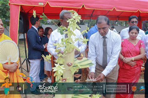 Sandali Tharuka Kulasooriya