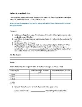 AP Biology Lab Surface Area And Cell Size Babe Handout TPT