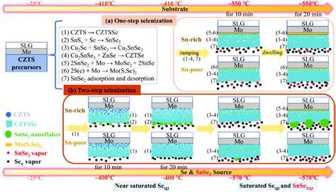 Schematic Diagram Of The Proposed Snse 2 Vapor Assisted Grain Growth