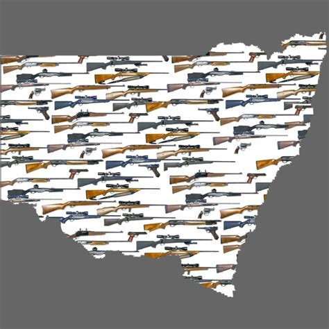Nsw Firearms Registry To Review Police Classification Of Firearms Sporting Shooter