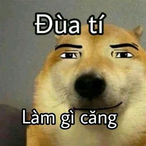 Ghim Của Vietanh Trên Meme Ảnh Chú Hề Chuyện Cười Hài Hước Về Chó