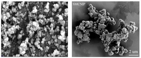 Polymers Free Full Text Development Of An Fe3o4 Surface Grafted