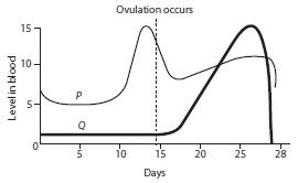Pthe Given Graph Shows The Hormonal Changes During A Normal Menstrual Cycle What Would Be A Likely C