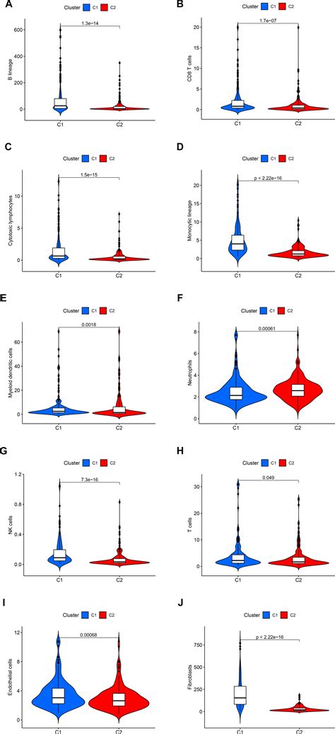 Prognostic Model Development And Molecular Subtypes Identification In Bladder Urothelial Cancer