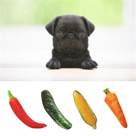 Жевательная игрушка пищалка для щенков игрушка для домашней собаки плюшевые игрушки звуковая