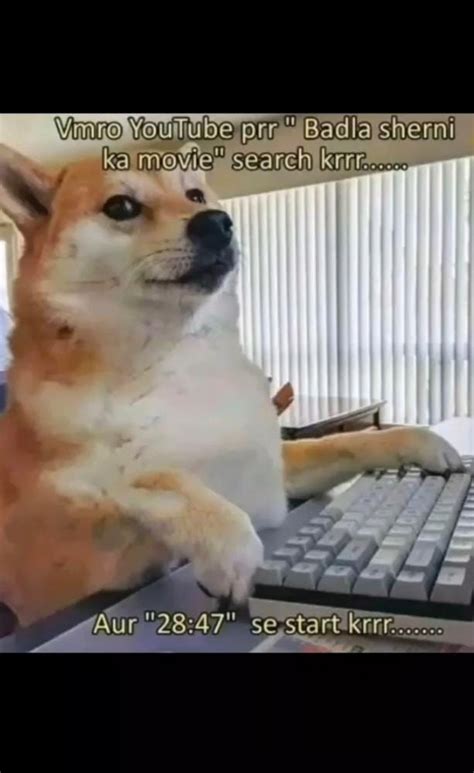 Nnn R Saimansays