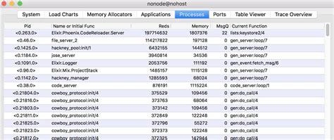 Erlang Why Is The Elixirphoenixcodeloaderserver On Top In This