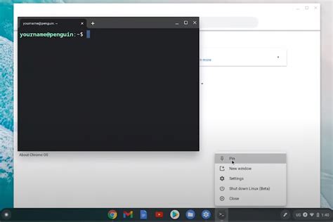如何在Chromebook上安装Linux逐步指南 姚伟斌