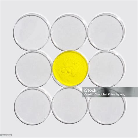 흰색 실험실 테이블에 페트리 접시에 크롬산 칼륨 분말 코팅이 적용되는 침지 욕 단계에서 가장 일반적으로 사용되는 화학 물질 가루로 빻은에 대한 스톡 사진 및 기타 이미지