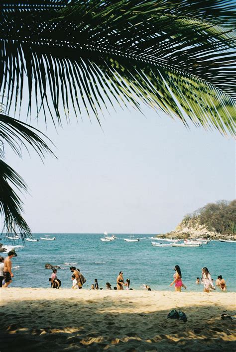 가족 시간 경치 경치가 좋은 레저 레크리에이션 리조트 멕시코 멕시코 해안 모래 모험 목가적인 물 바다 바다 경치 바다 전망 보트 타는 북미