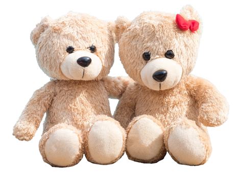 Teddy Bear Png Images Free Download Pngfre