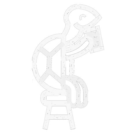 Turtle Shell Fanny Pack Turtle Club Us