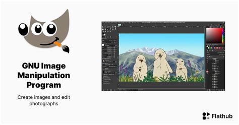 Installar Gnu Image Manipulation Program Sur Linux Flathub