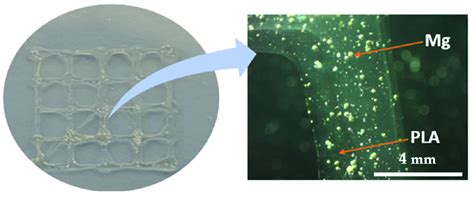3d Printed Mesh Structure Using Bioprinting Process Download Scientific Diagram
