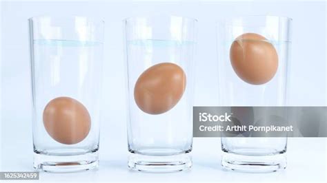투명 유리에 물 테스트에서 계란의 3d 렌더링 흰색 배경에 계란 신선도 테스트 나쁜 계란이 물에 뜬다 달걀에 대한 스톡 사진 및 기타 이미지 Istock