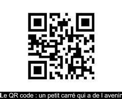 Qr Code Seg Instance Segmentation Dataset And Pre Trained Model By Qrcode