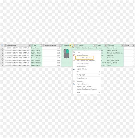 Free Download Hd Png Remove Other Columns Importing And Exporting