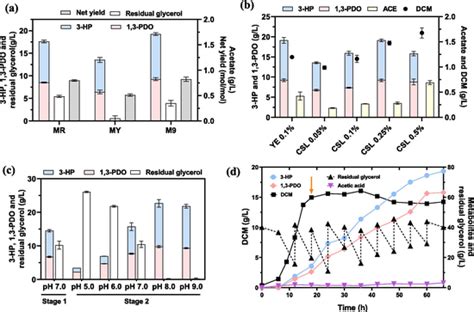 Fermentation Process Optimization Of Strain Ec10 S7g A Titers Of